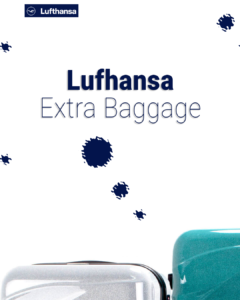 Can I Buy Extra Baggage On Lufthansa? 2026