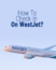 How To Check In For a WestJet Flight? 2026 Online, App and Airport