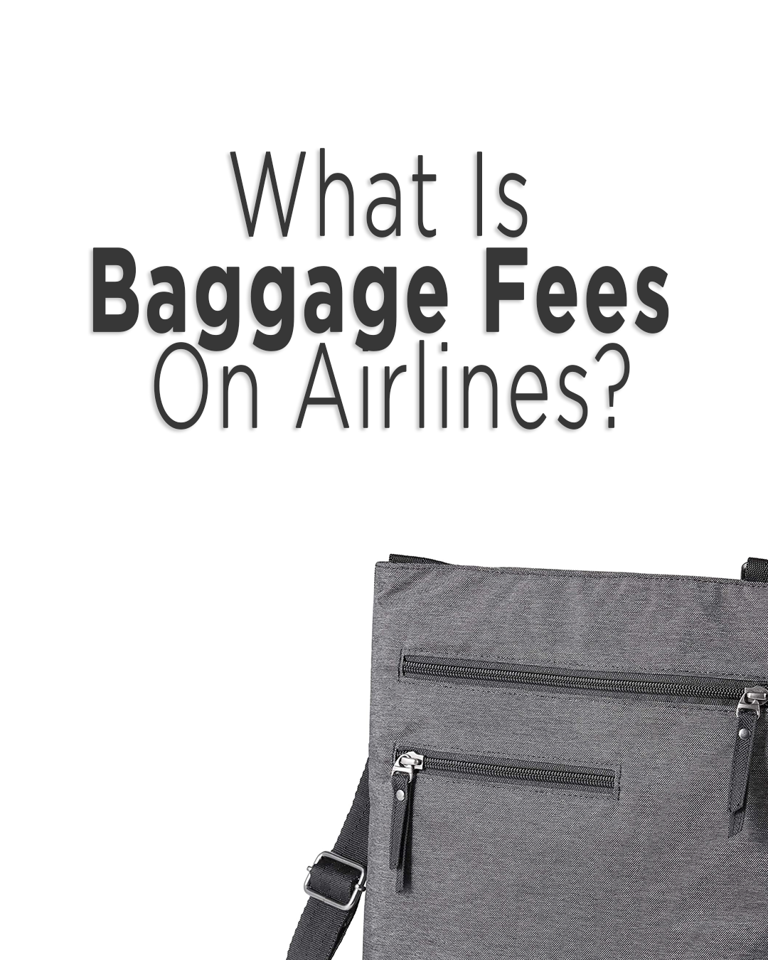 How Much Does Checked Baggage Cost? Travelclosely