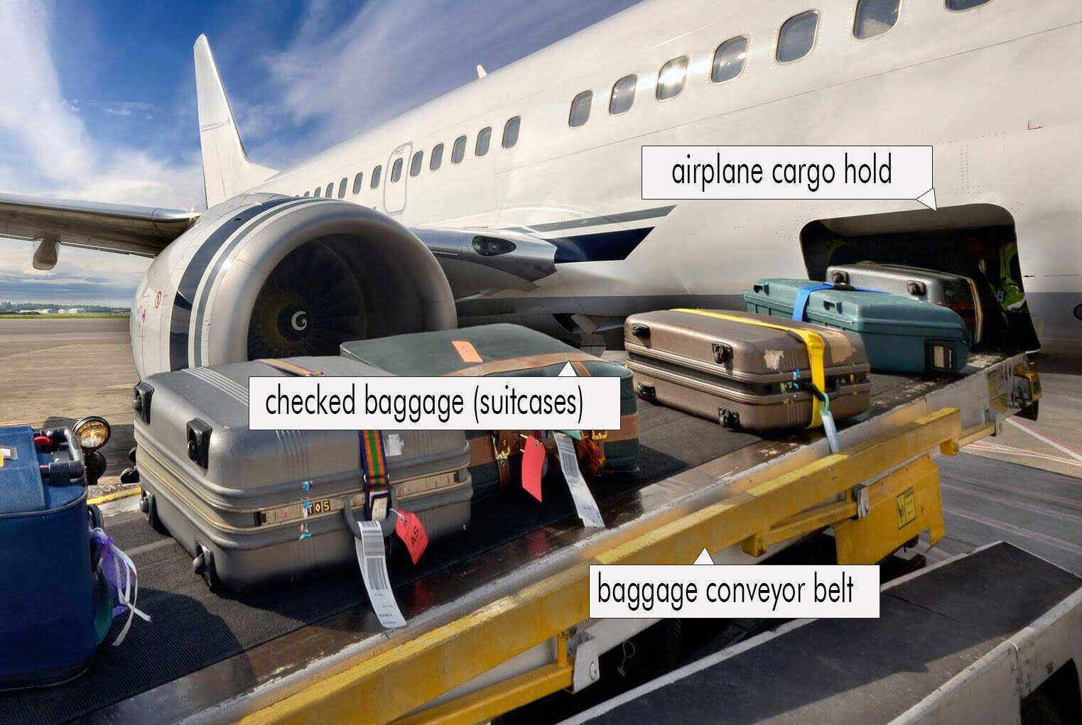 What Does Checked Baggage Mean? Check In VS Cabin Baggage