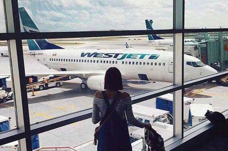 How To Check In For a WestJet Flight? 2026 Online, App and Airport