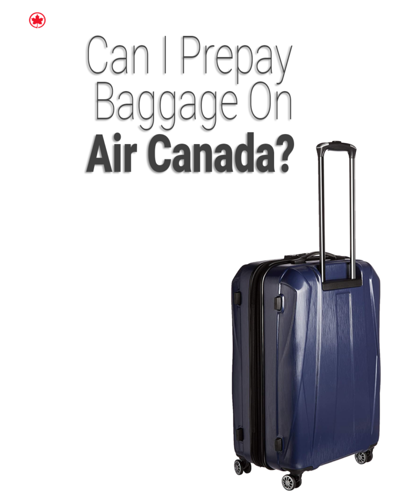 Can I Prepay Baggage On Air Canada? 2026( And How)