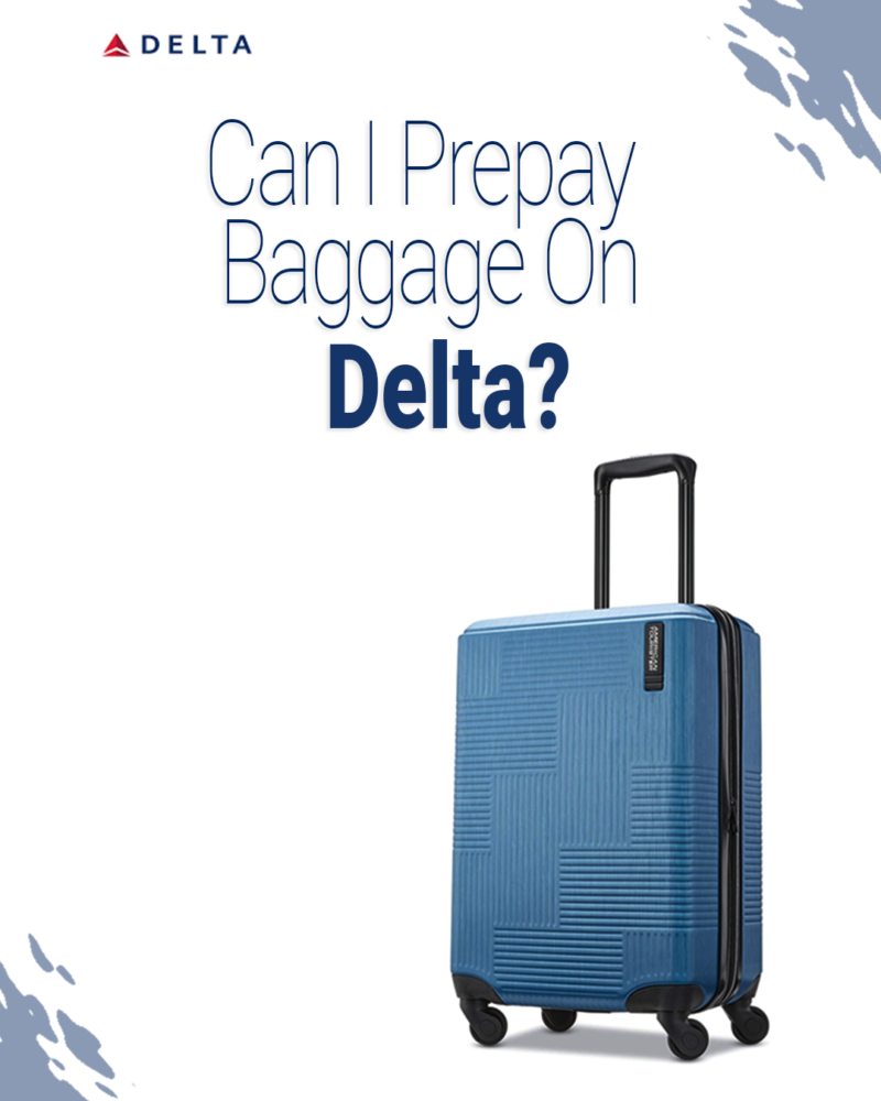 Can I Prepay Baggage On Delta? 2026 - Detailed Guide - Travelclosely