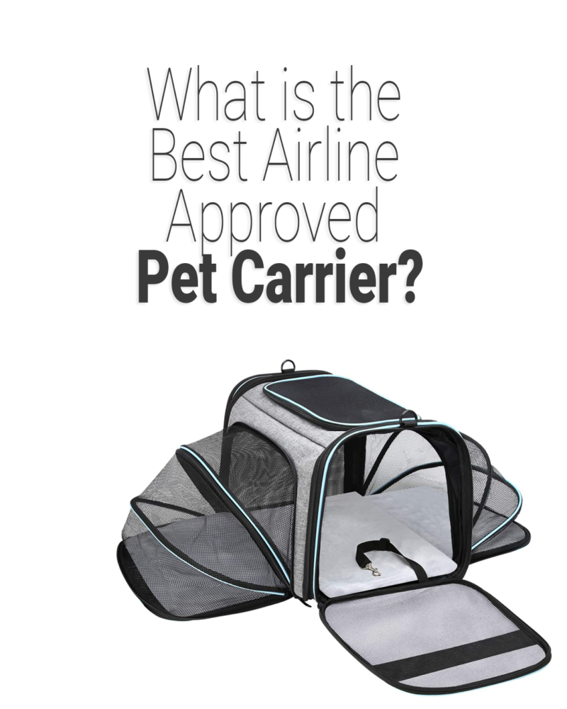 10 Best Airline Approved Pet Carriers in 2026