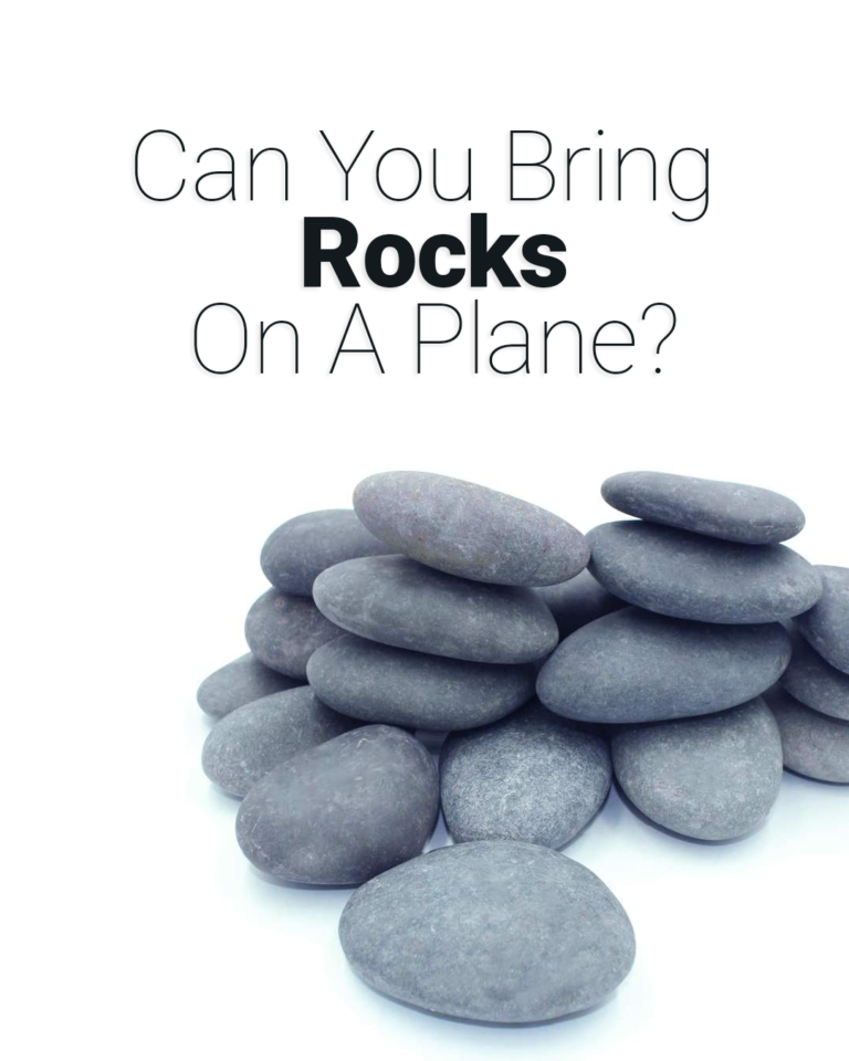 Can You Bring Rocks On a Plane? Domestic Vs International