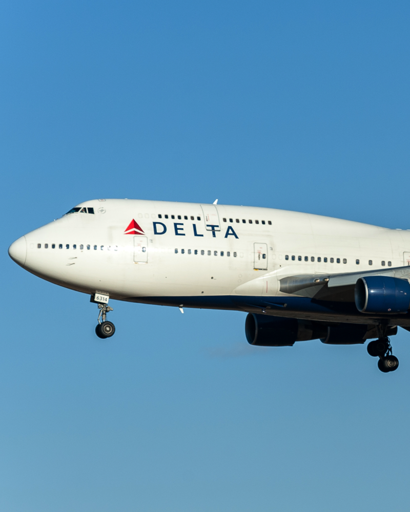 What is Delta Pet Policy? 2026 Ultimate Guide