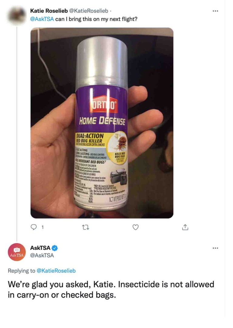 Can You Take Bug Spray On a Plane? 2026