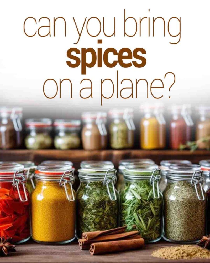 Can You Bring Spices On a Plane? Complete List 2026