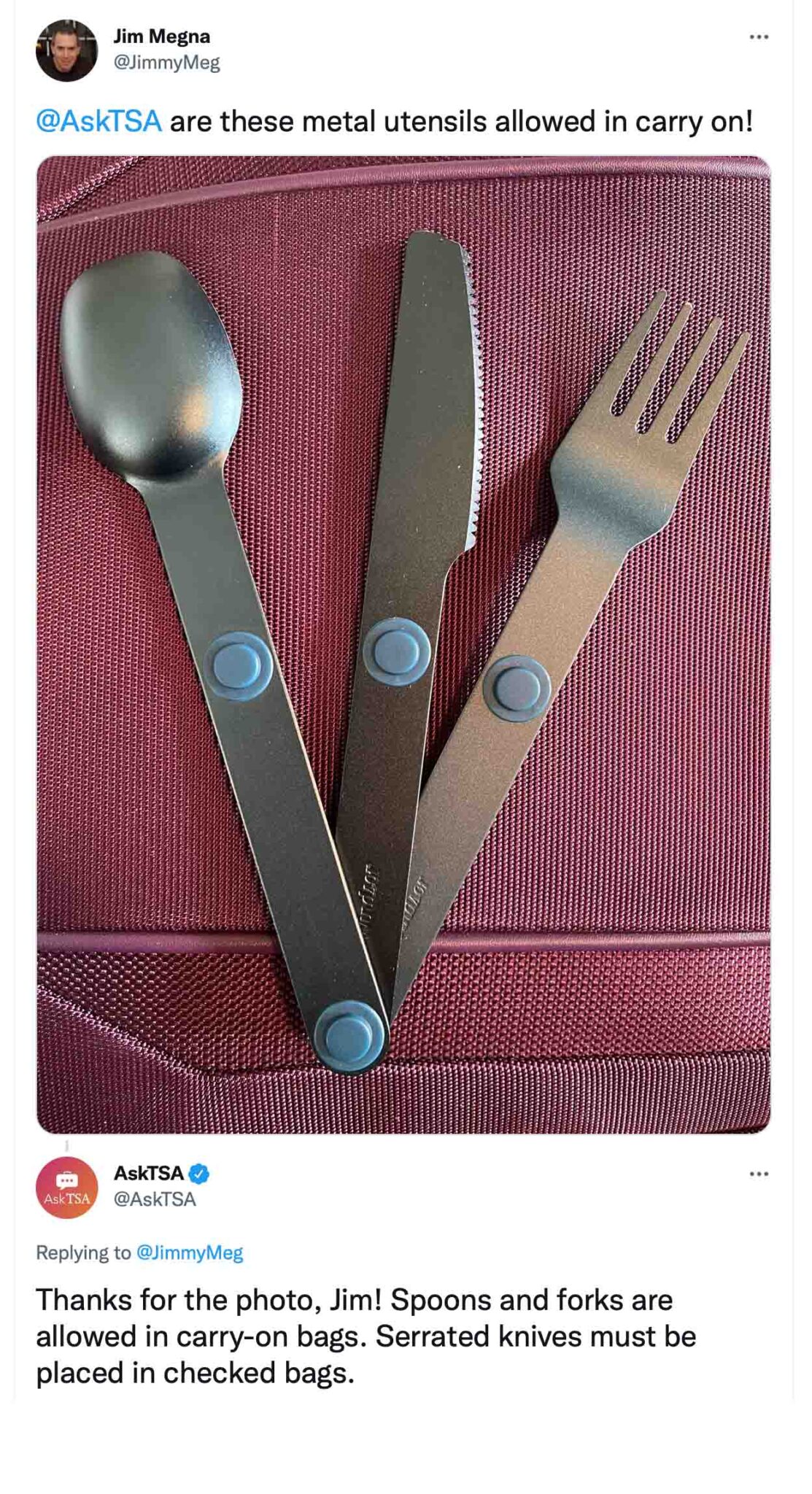 Can You Bring Utensils And Cutlery On A Plane? 2026