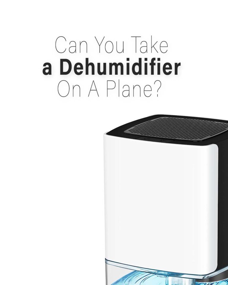 Can You Take a Dehumidifier On a Plane? 2025 (TSA Rules )