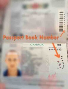 Where and What Is Passport Book Number? (2026 Guide)