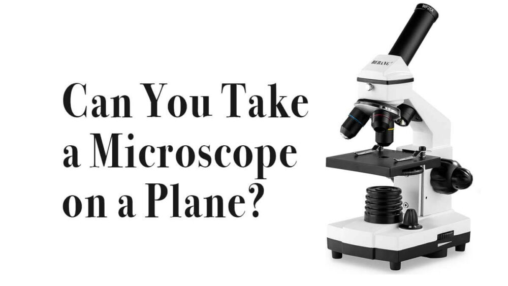 Can You Take a Microscope On a Plane? TSA Rules 2025 - Travelclosely