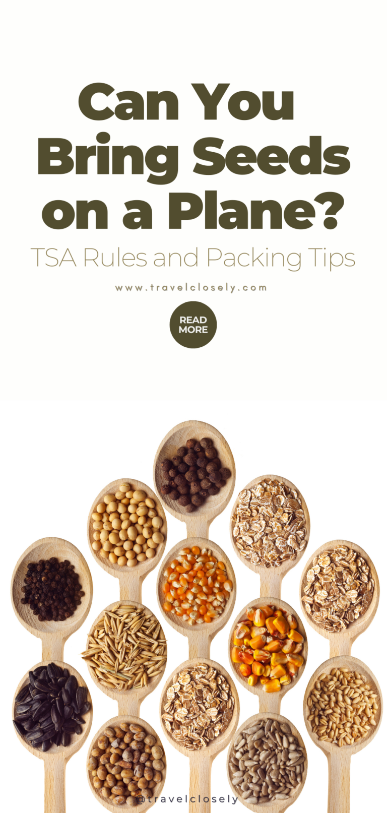 Can You Bring Seeds on a Plane? TSA Rules and Packing Tips